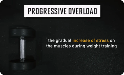 How To Build Muscle (Explained In 5 Levels)