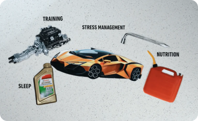 How To Build Muscle And Lose Fat At The Same Time: Step By Step Explai